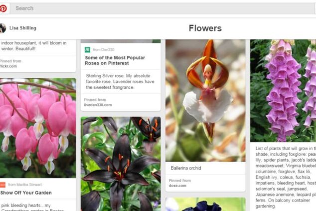 Pinterest for gardeners - Richard Jackson Garden