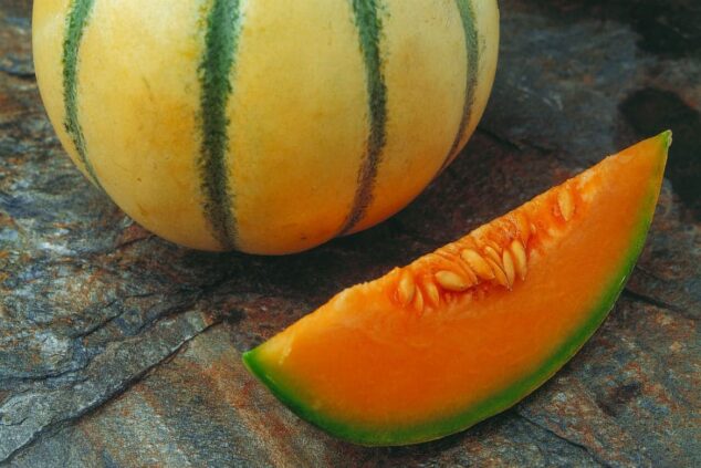 Growing melons - Richard Jackson Garden