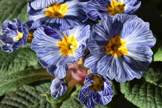 What are the golden rules for making compost? - Richard Jackson Garden