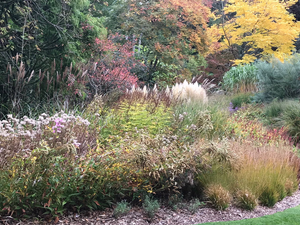 How can I learn more about plants and gardens? - Richard Jackson Garden