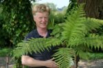 Chrysanthemums from QVC | Richard Jackson's Garden