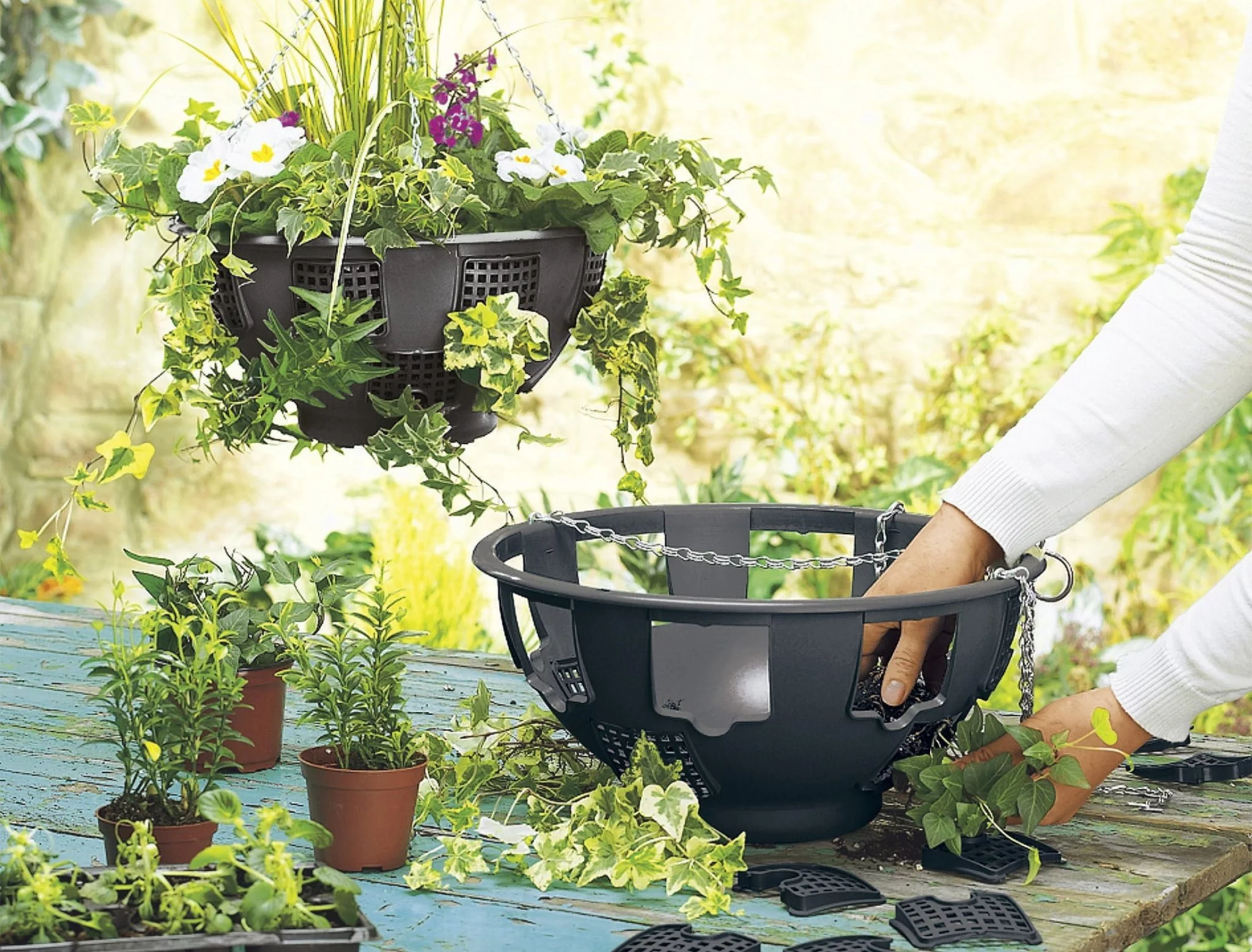 What’s the secret of brilliant hanging baskets? - Richard Jackson Garden