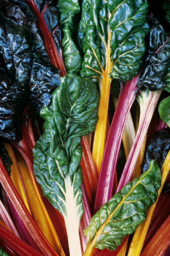 Five easy vegetables - Richard Jackson Garden