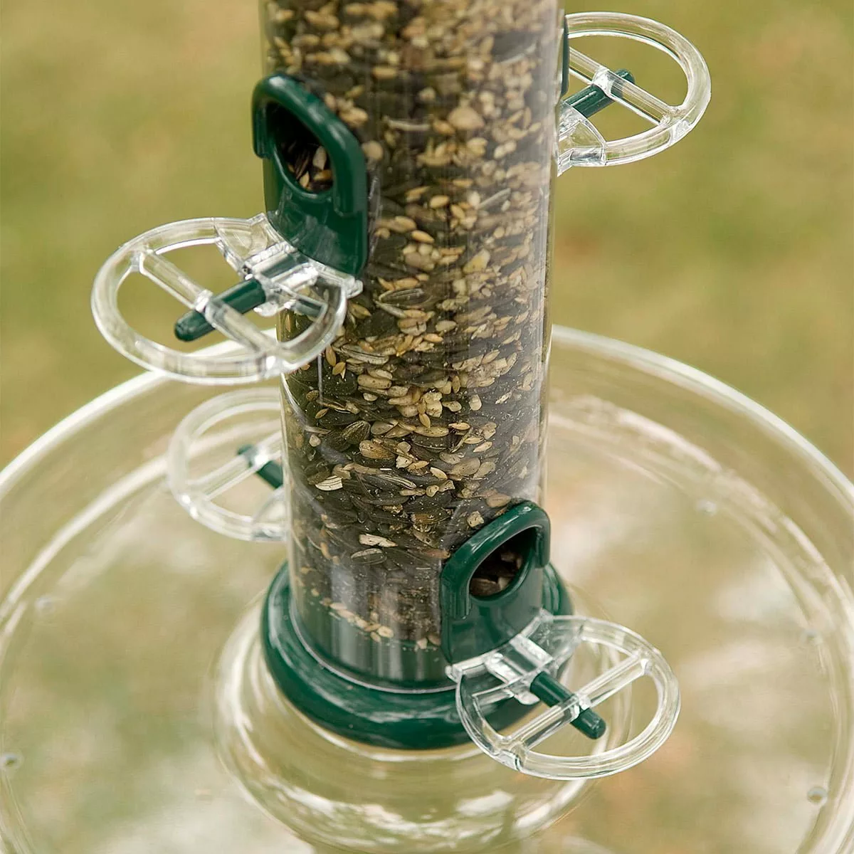 Ring-Pull Perch Rings 6-pack - Richard Jackson Garden