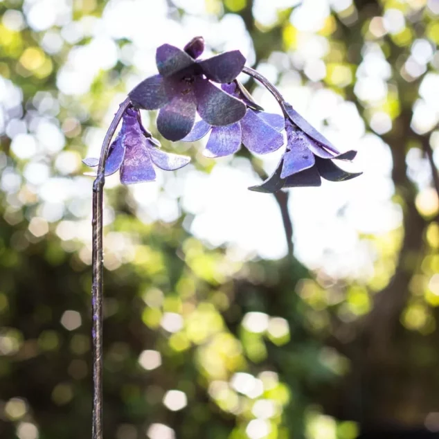 Ornamental Bluebell Flower - Richard Jackson Garden