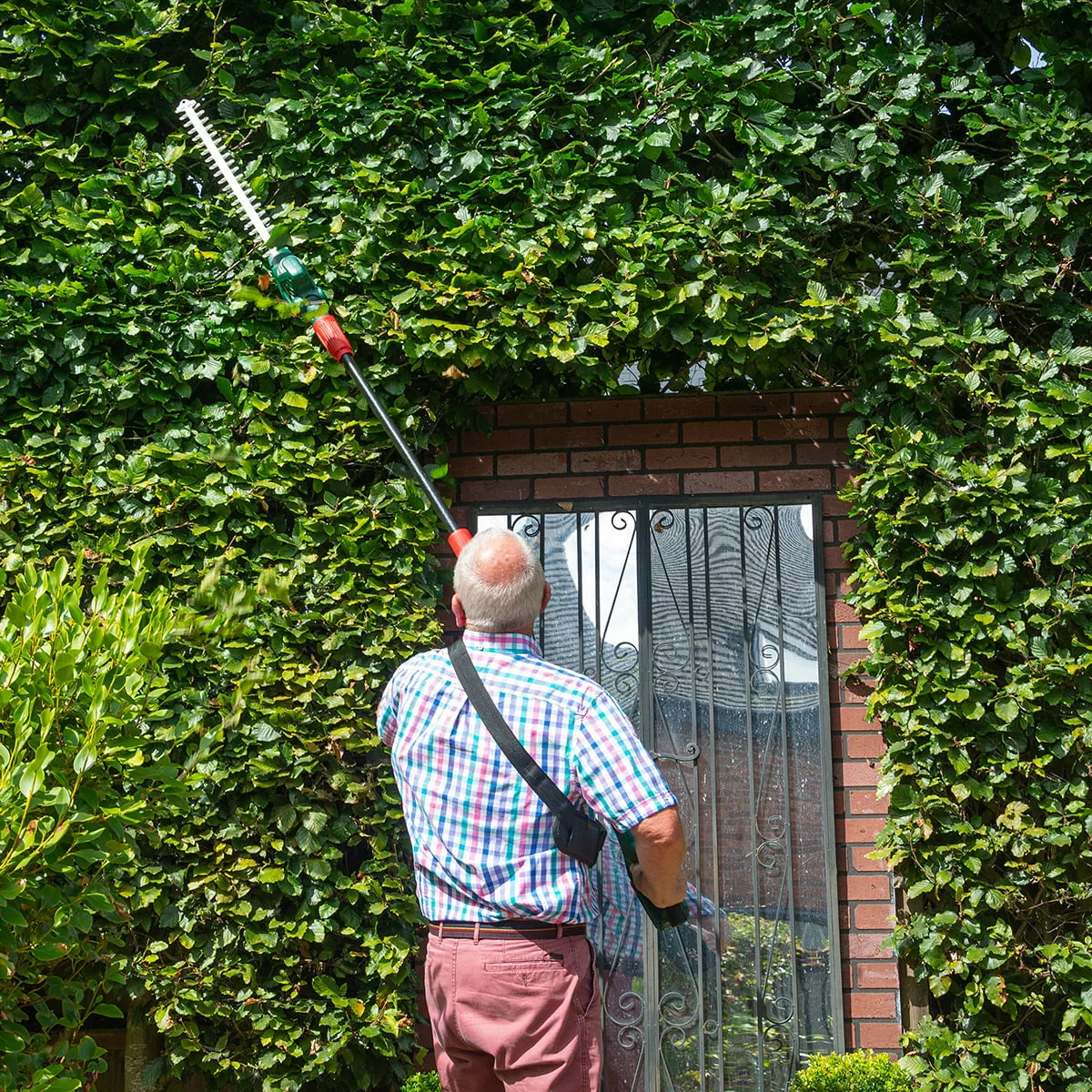 Webb 50cm Lithium-ion Long Reach Battery Hedge Trimmer - Richard ...