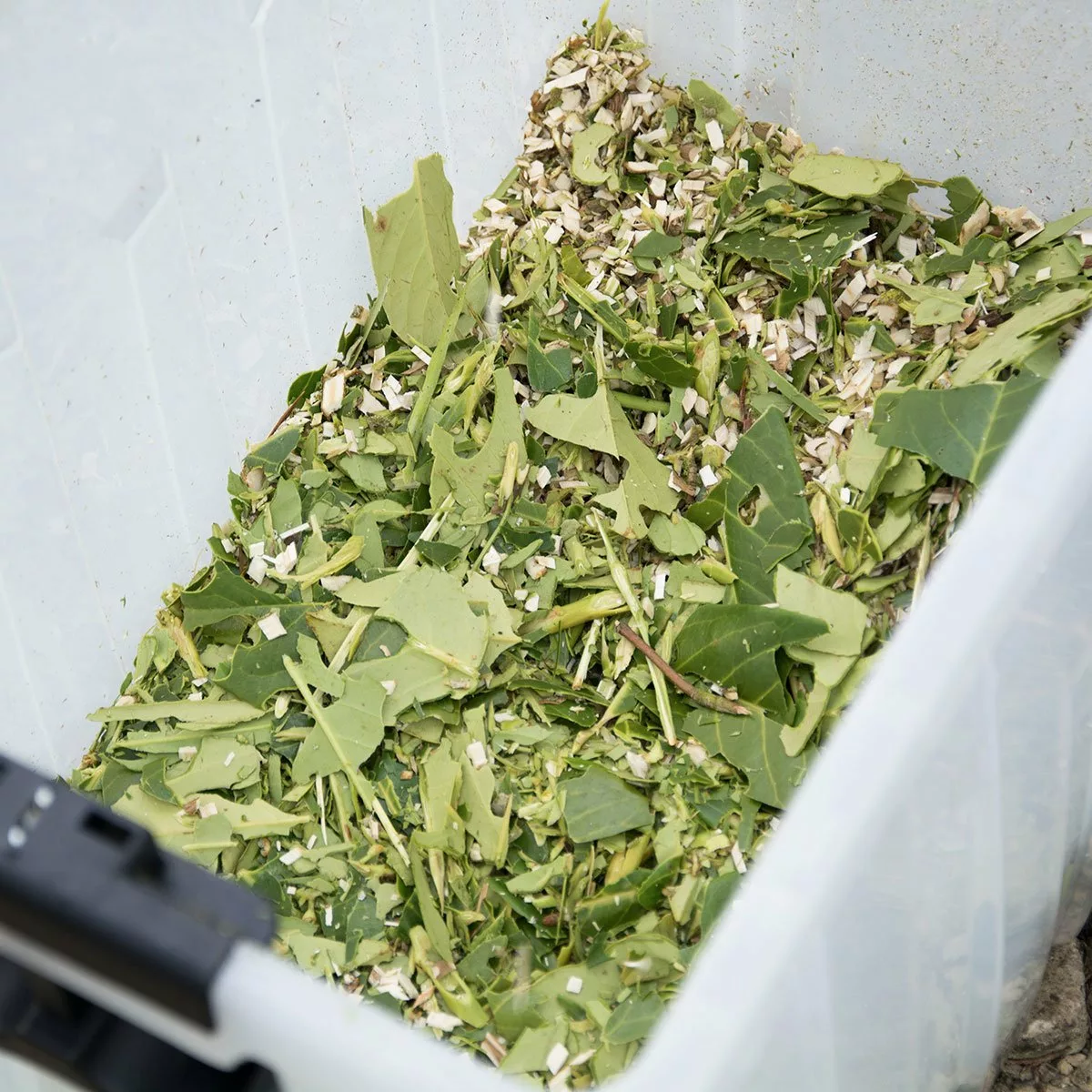 The Handy Electric Impact Shredder - Richard Jackson Garden