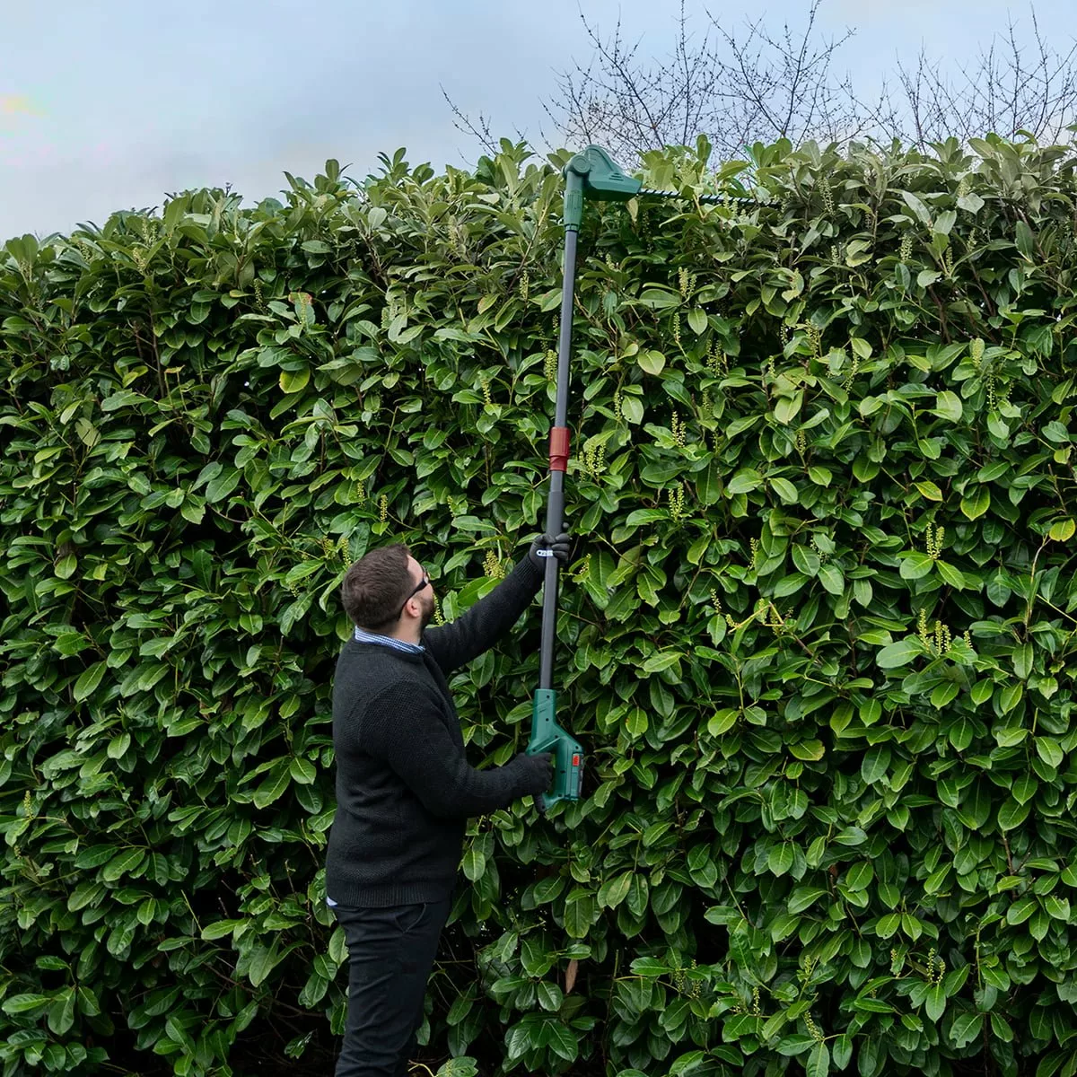 Webb 50cm Lithium-ion Long Reach Battery Hedge Trimmer - Richard ...
