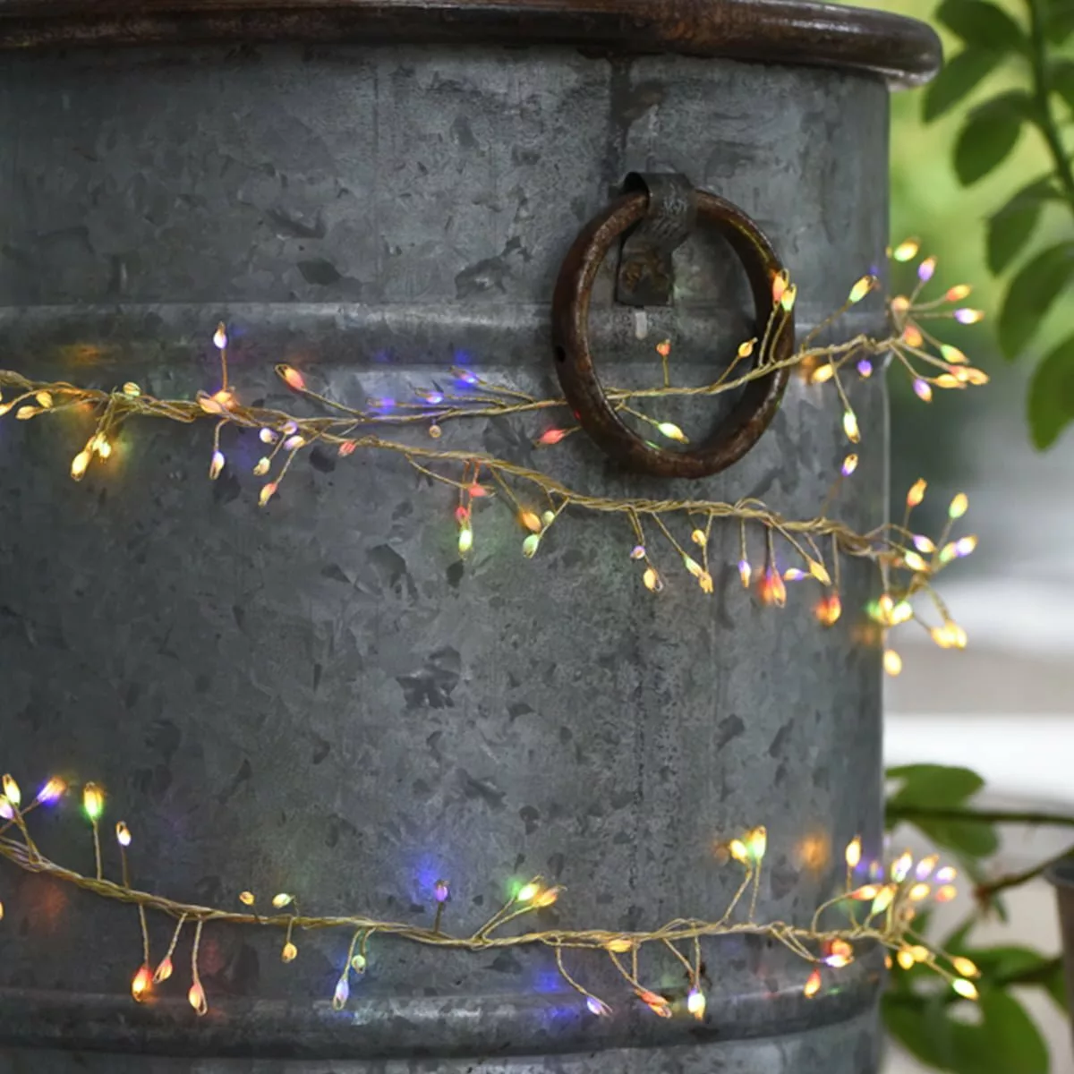 Colour Changing Cluster Lights - Richard Jackson Garden
