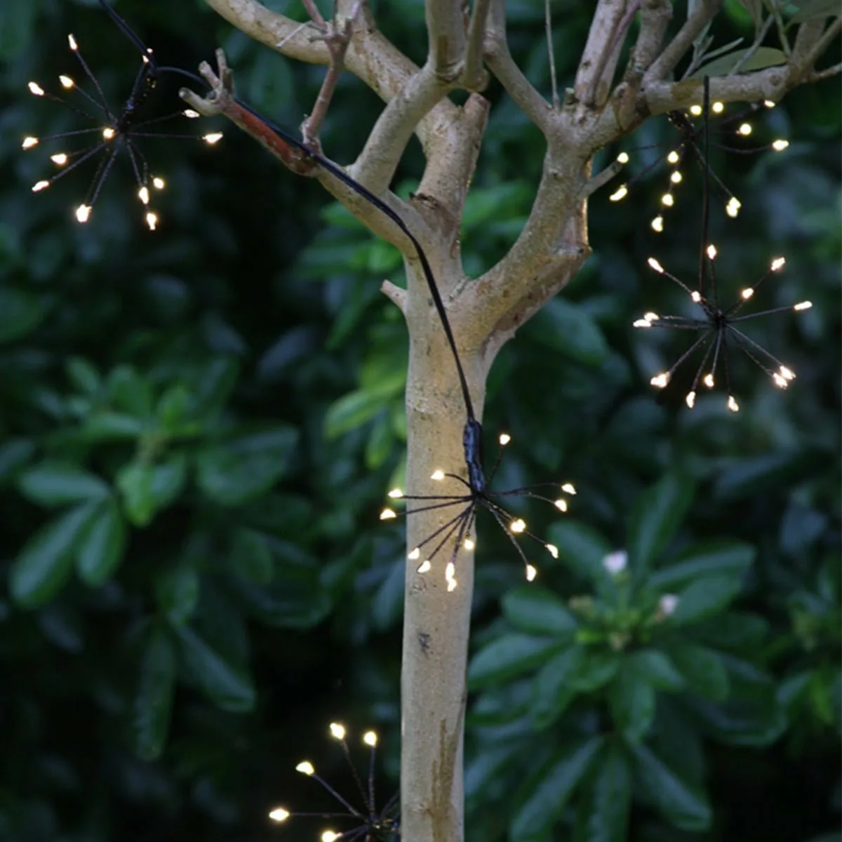 Solar Starburst Chain Lights - Richard Jackson Garden
