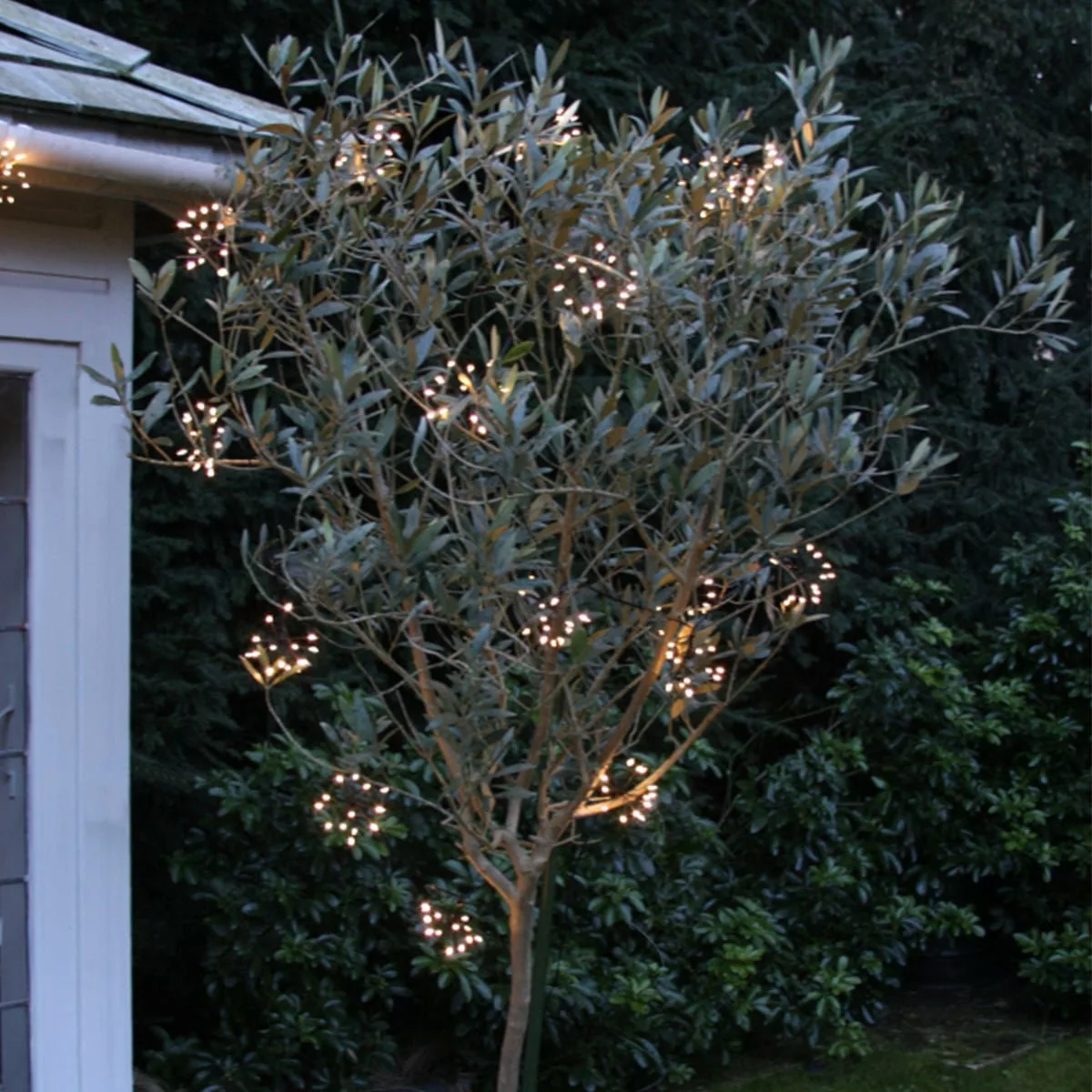 Solar Starburst Chain Lights - Richard Jackson Garden