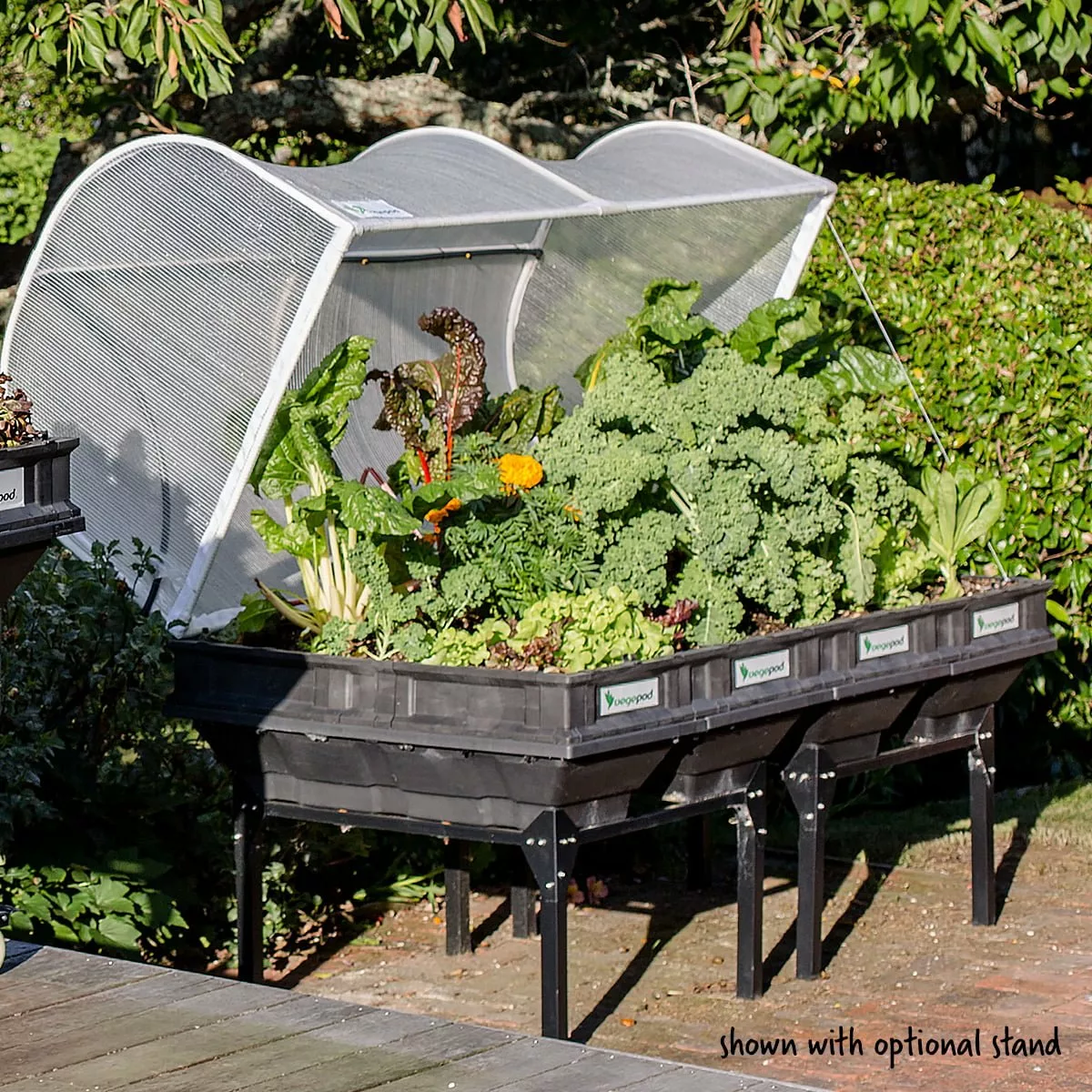 Large Vegepod Raised Garden Bed with Cover - Richard Jackson Garden
