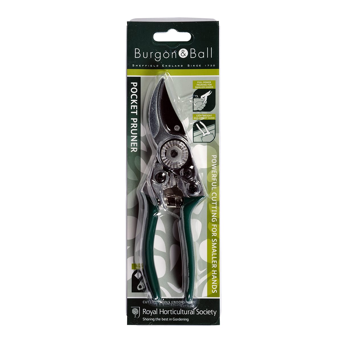 Pruning roses - Richard Jackson Garden