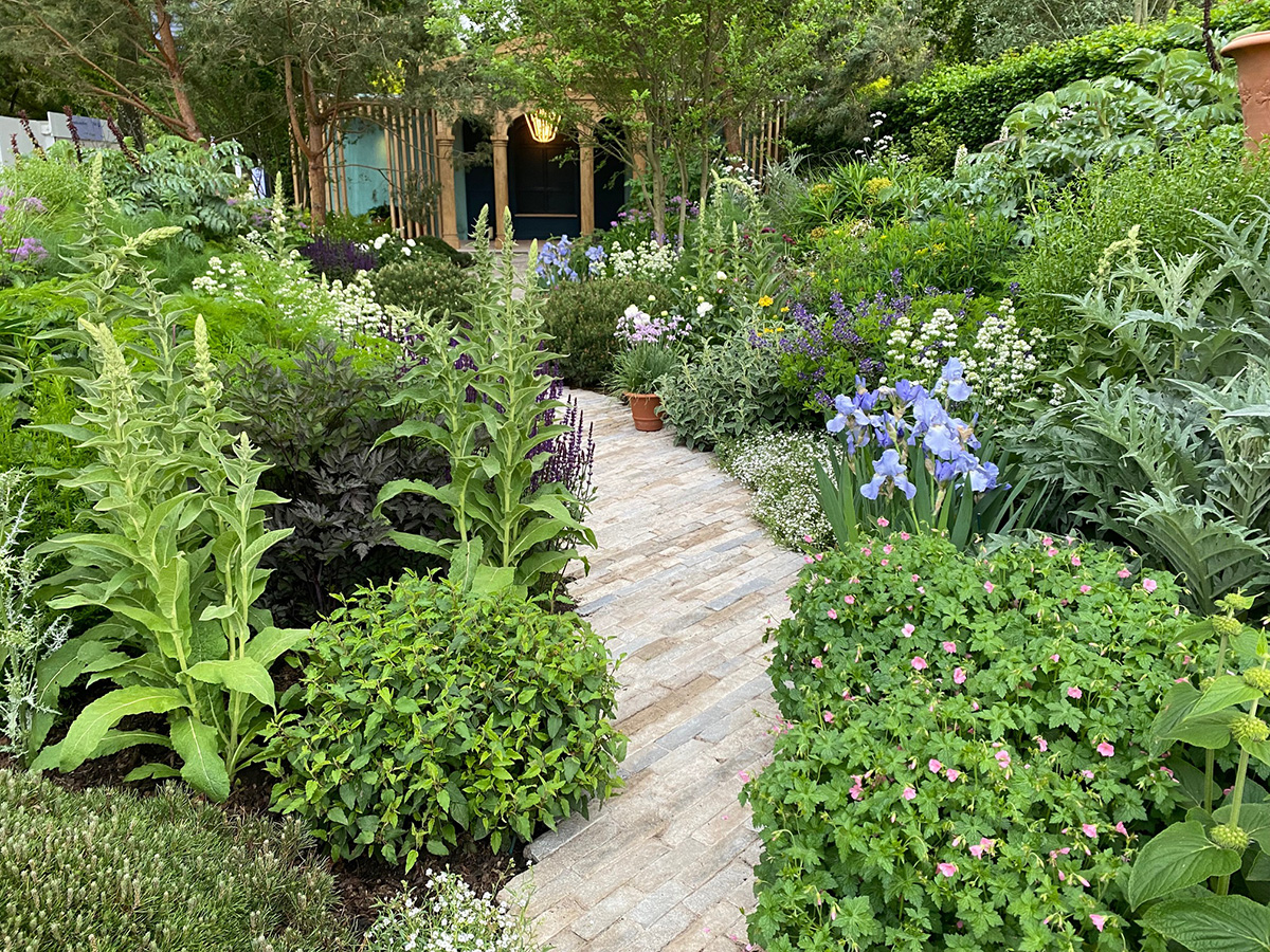 Five fabulous Chelsea Show Gardens - Richard Jackson Garden