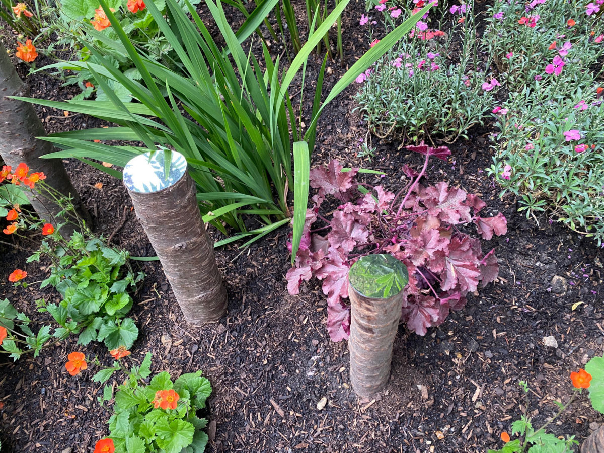Make garden cane toppers - Richard Jackson Garden