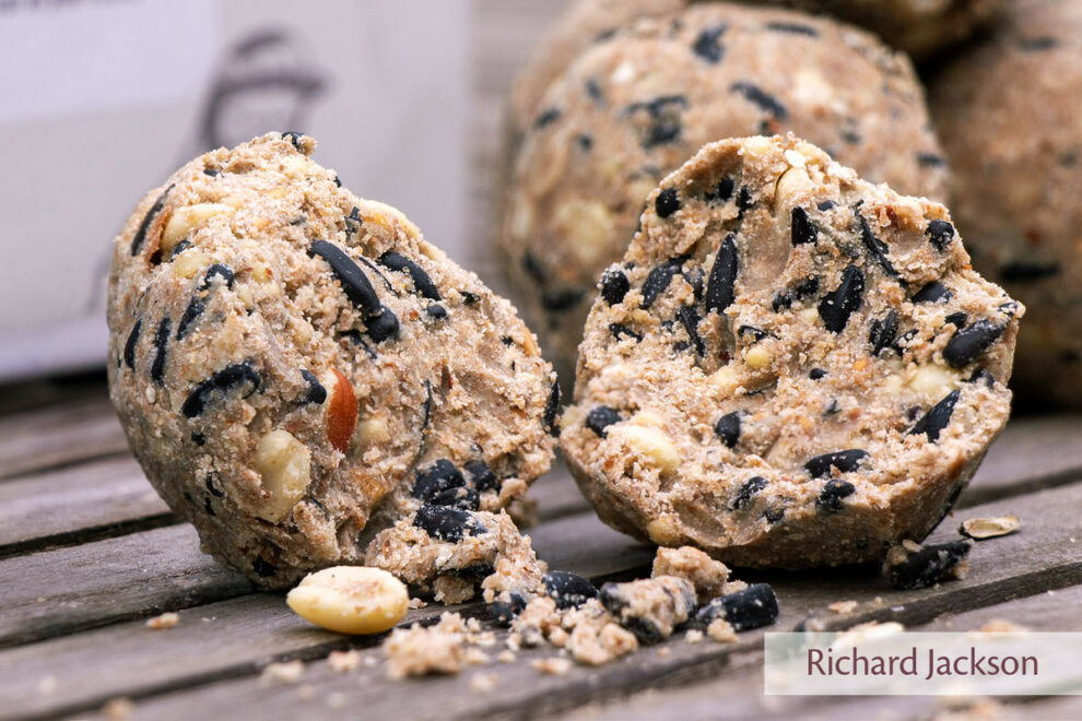 High Energy Seed & Nut Suet Balls - The best bird food to buy online ...