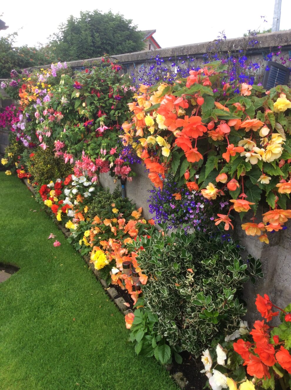 Tommy Stewart - Richard Jackson Garden