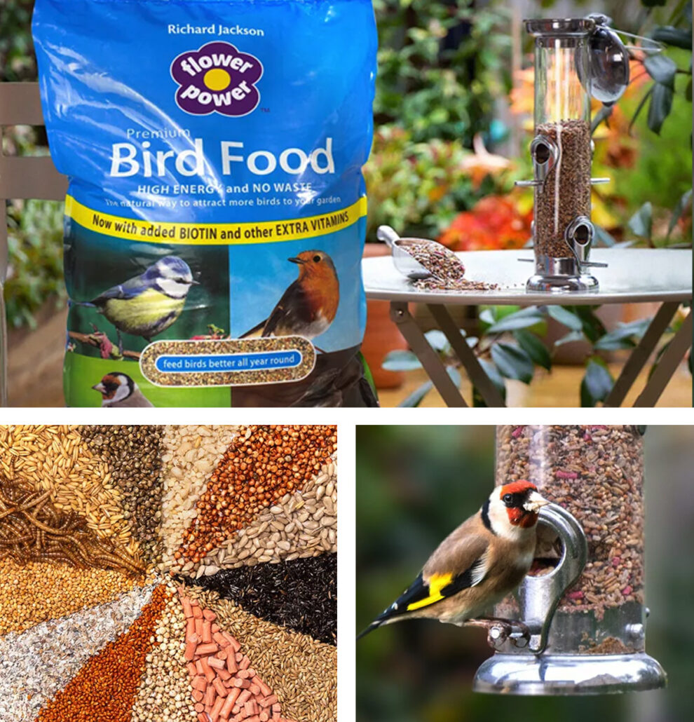 Bird Food Subscription - Richard Jackson Garden