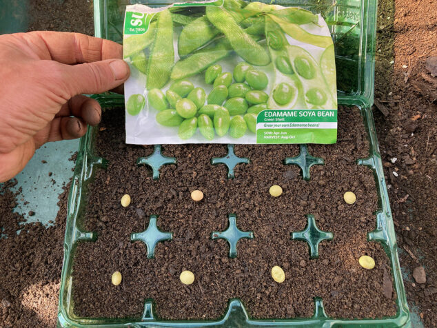 Get ready to sow seeds - Richard Jackson Garden