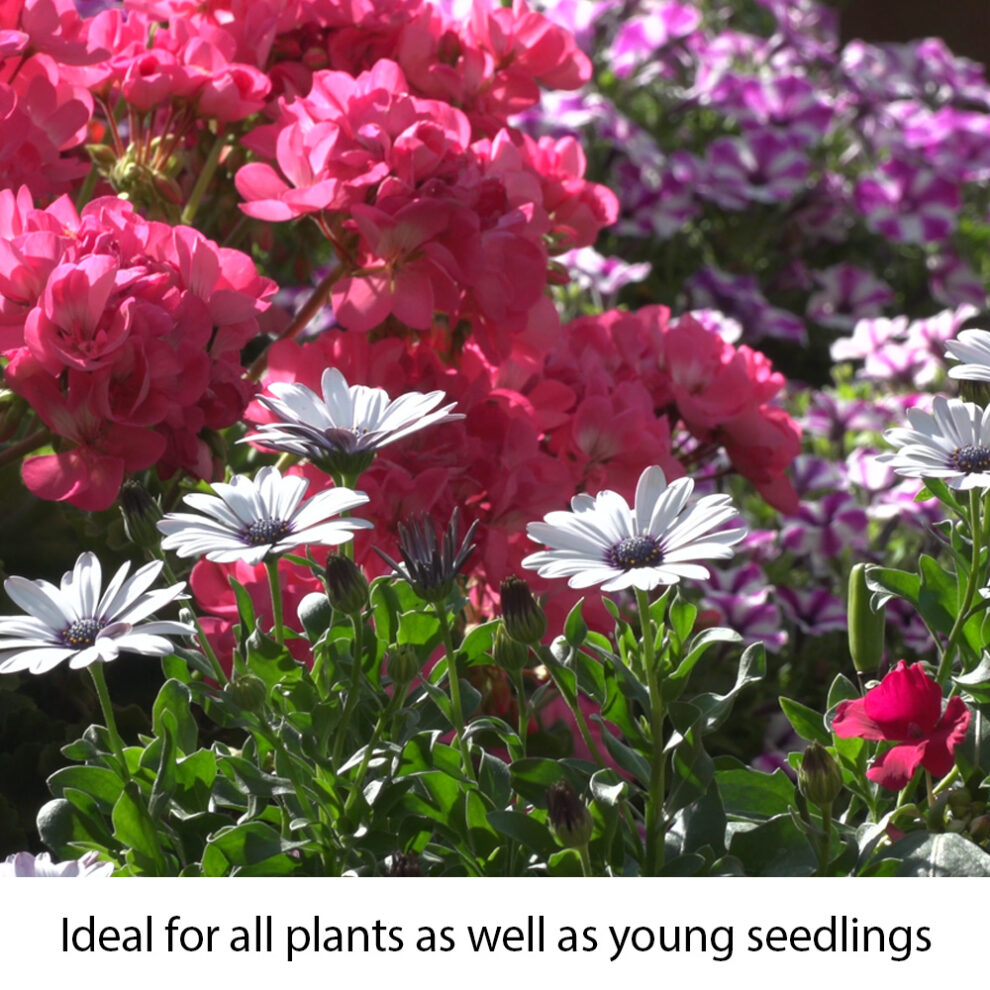 Flower Power Plant Food - Richard Jackson Garden