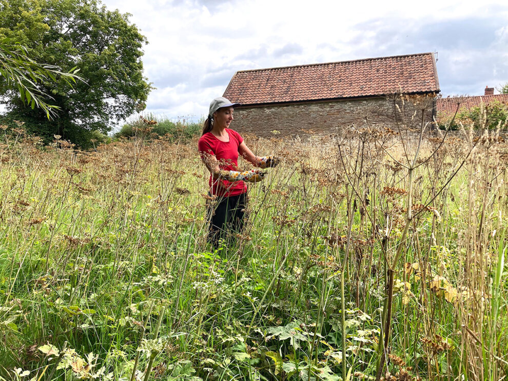 Get the wildflower meadow effect - Richard Jackson Garden