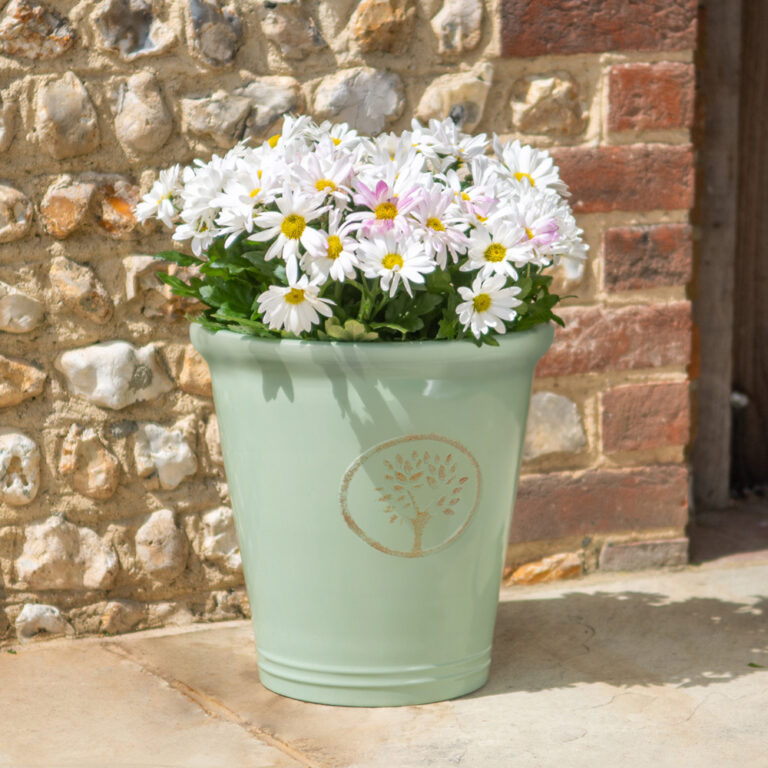 Flower Power Plant Food - Richard Jackson Garden