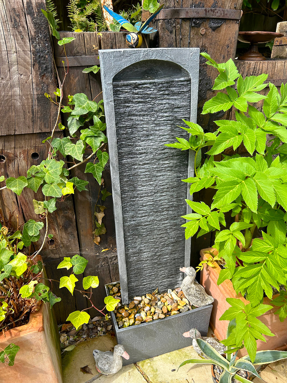 The soothing impact of water in a garden - Richard Jackson Garden