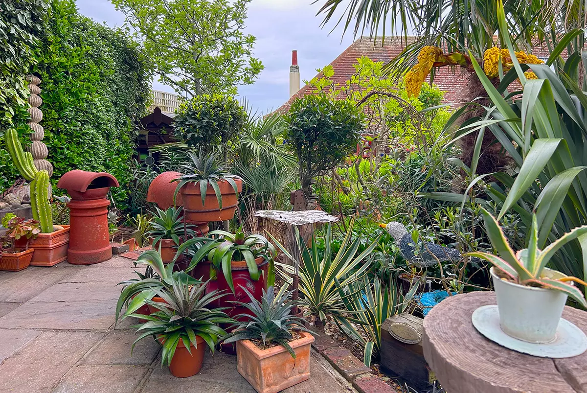 What is Good Garden Design: Unlocking Outdoor Elegance - Garden