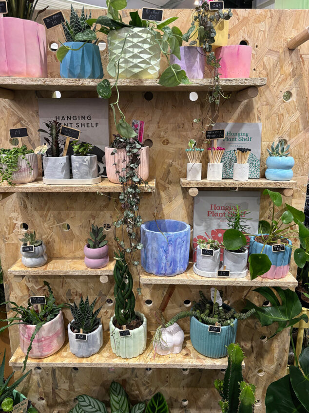What's trending in houseplants? - Richard Jackson Garden