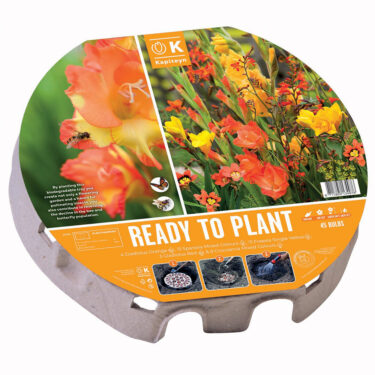 Drop & Bloom XL Bulb Tray Wild Blooms Mix - Richard Jackson Garden