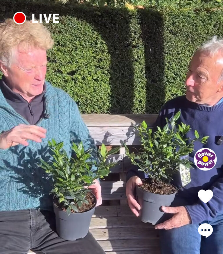 Live 2 - Richard Jackson Garden