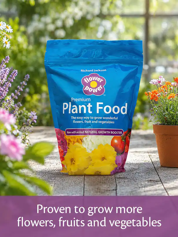 Richard Jackson Garden | Flower Power, Plants, Bird Food