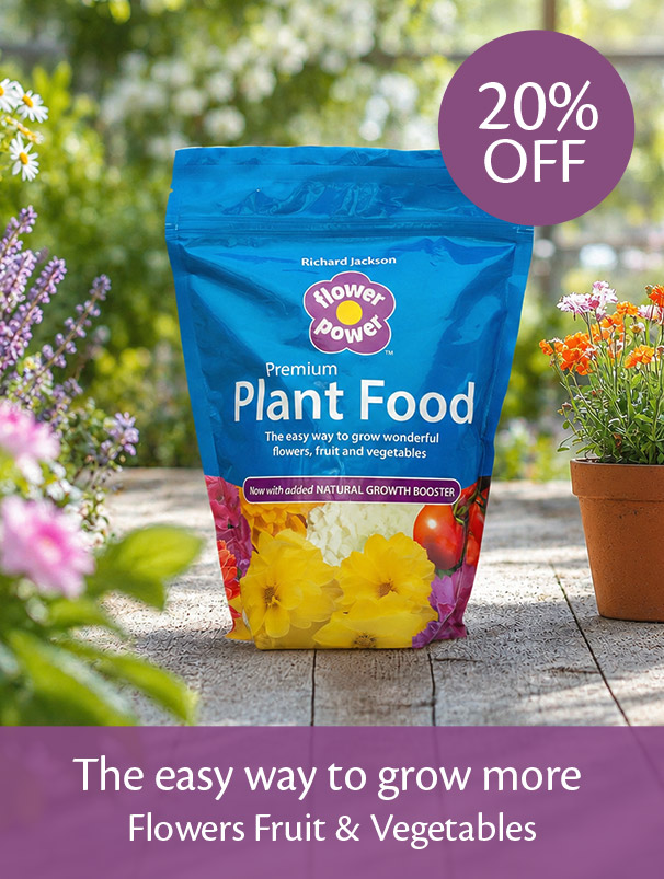 Richard Jackson Garden | Flower Power, Plants, Bird Food